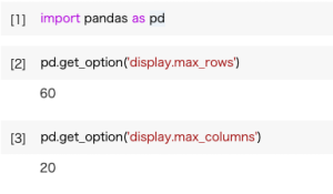 Jupyter Notebookの出力を短縮しない方法 | tofunoda